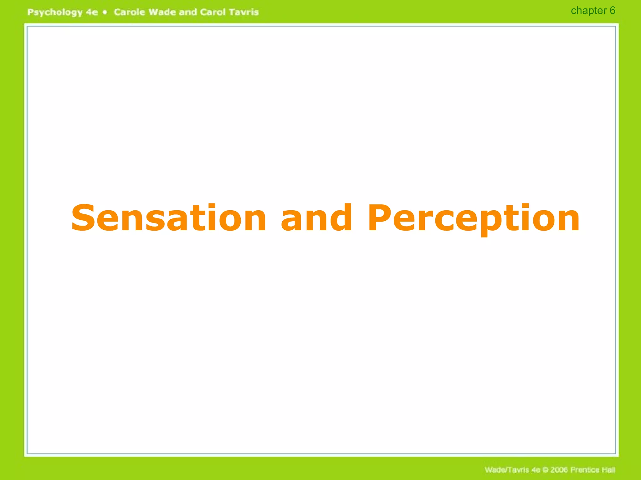 Sensation & Perception PowerPoint | PPT