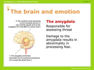 Health Psychology PowerPoint | PPT