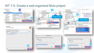 Wt7 structuring mule applications | PPTX