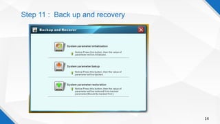 Wtau safe load indicator system for crawler crane | PDF