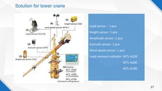 Wtau safe load indicator system for crawler crane | PDF