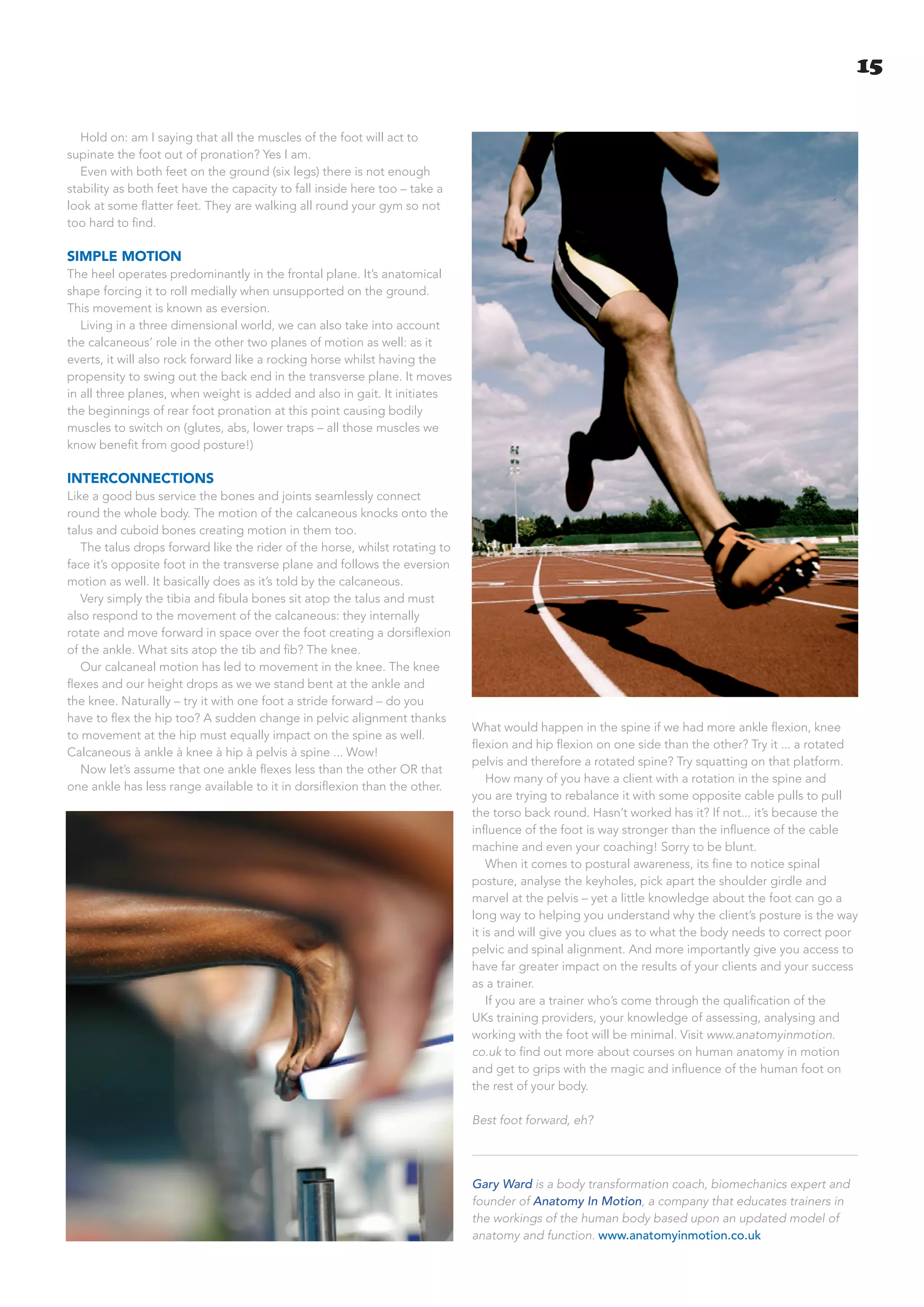 WTF? What the foot? | PDF