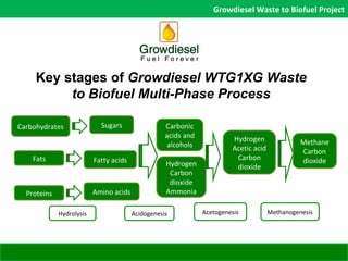 Waste to Biofuel Presentation | PPT