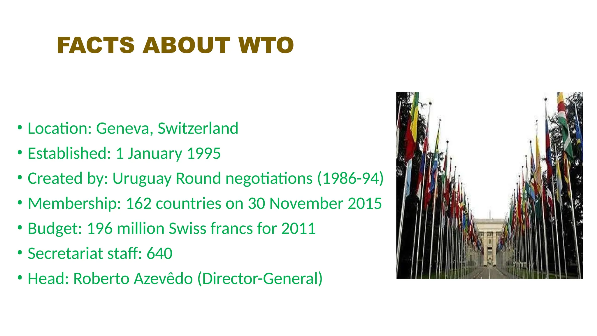 World Trade Organisation and importance. | PPTX