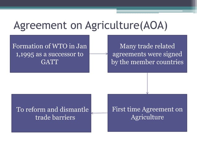 Wto agreement on agriculture | PPTX