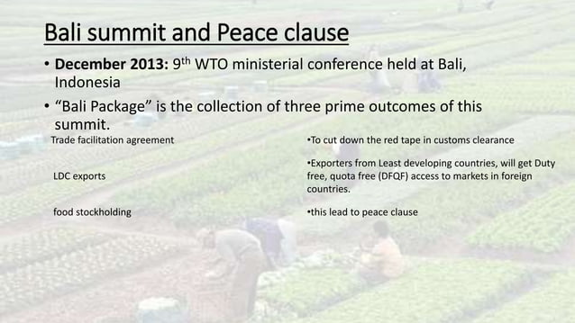 Wto and agriculture | PPTX