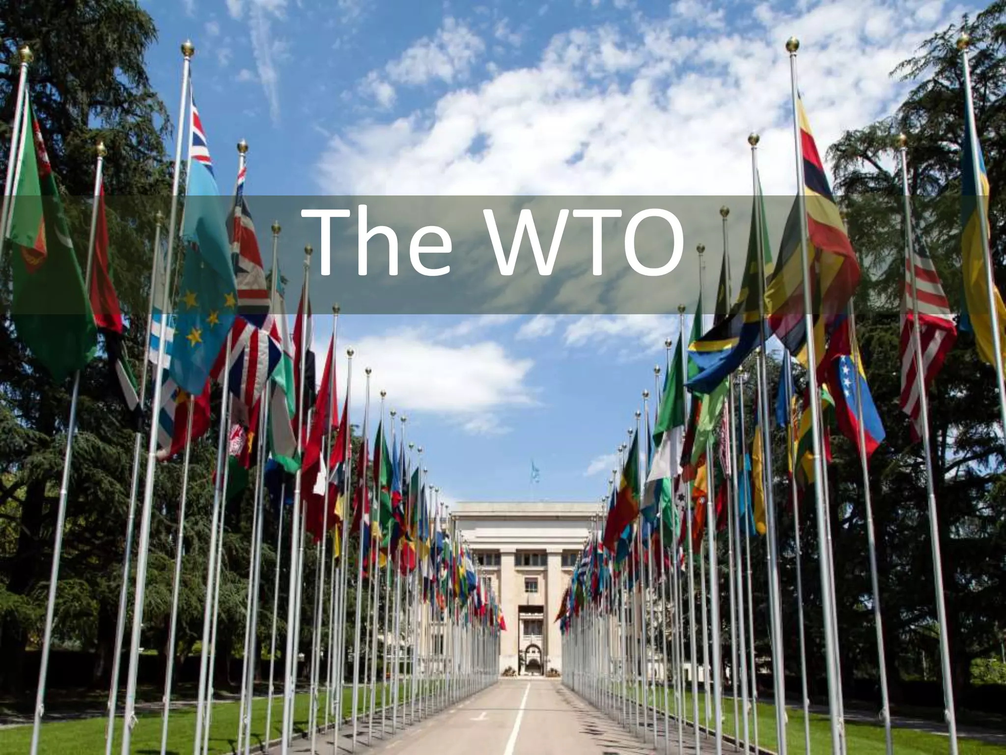 WTO AND Saudi Arabia (pptx) | PPTX