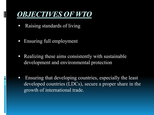 WTO PRESENTATION slides.pptx