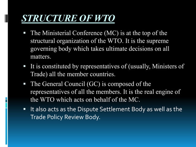 WTO PRESENTATION slides.pptx