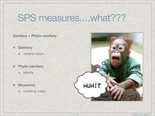 WTO SPS Measures | PDF