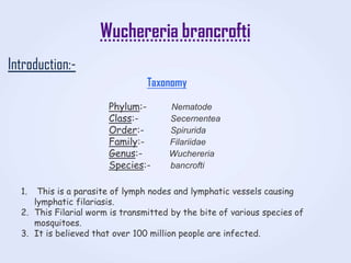 Wuchereria and Trichinella ZOOLOGY.pdf