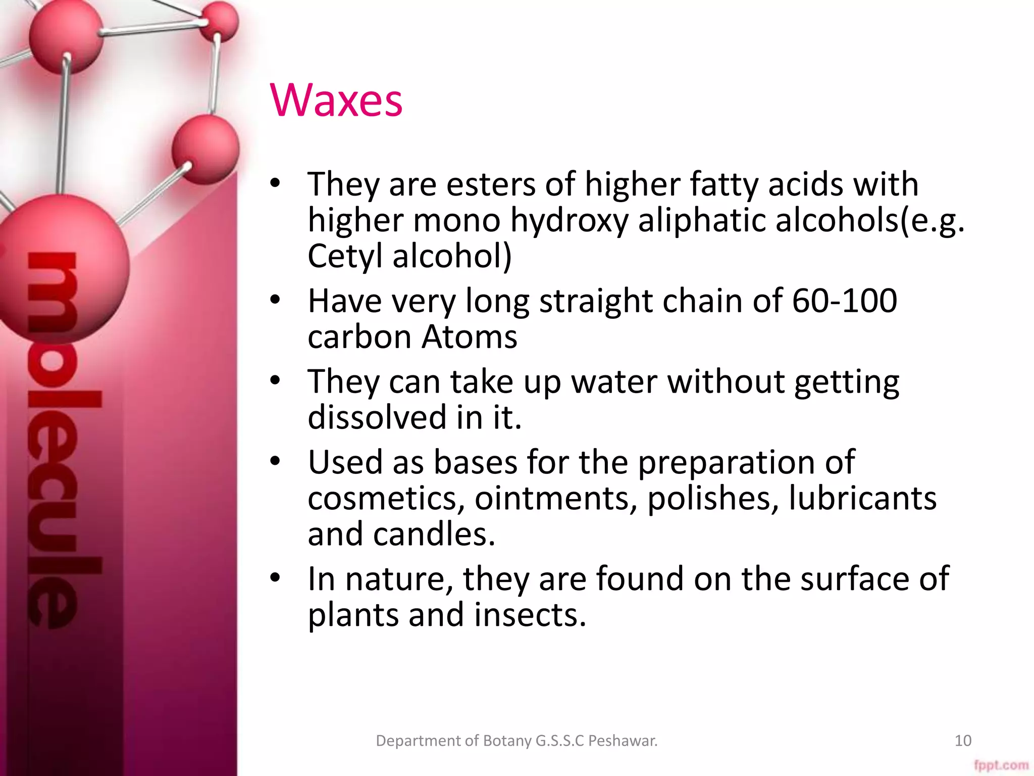 Lipids Notes | PPTX