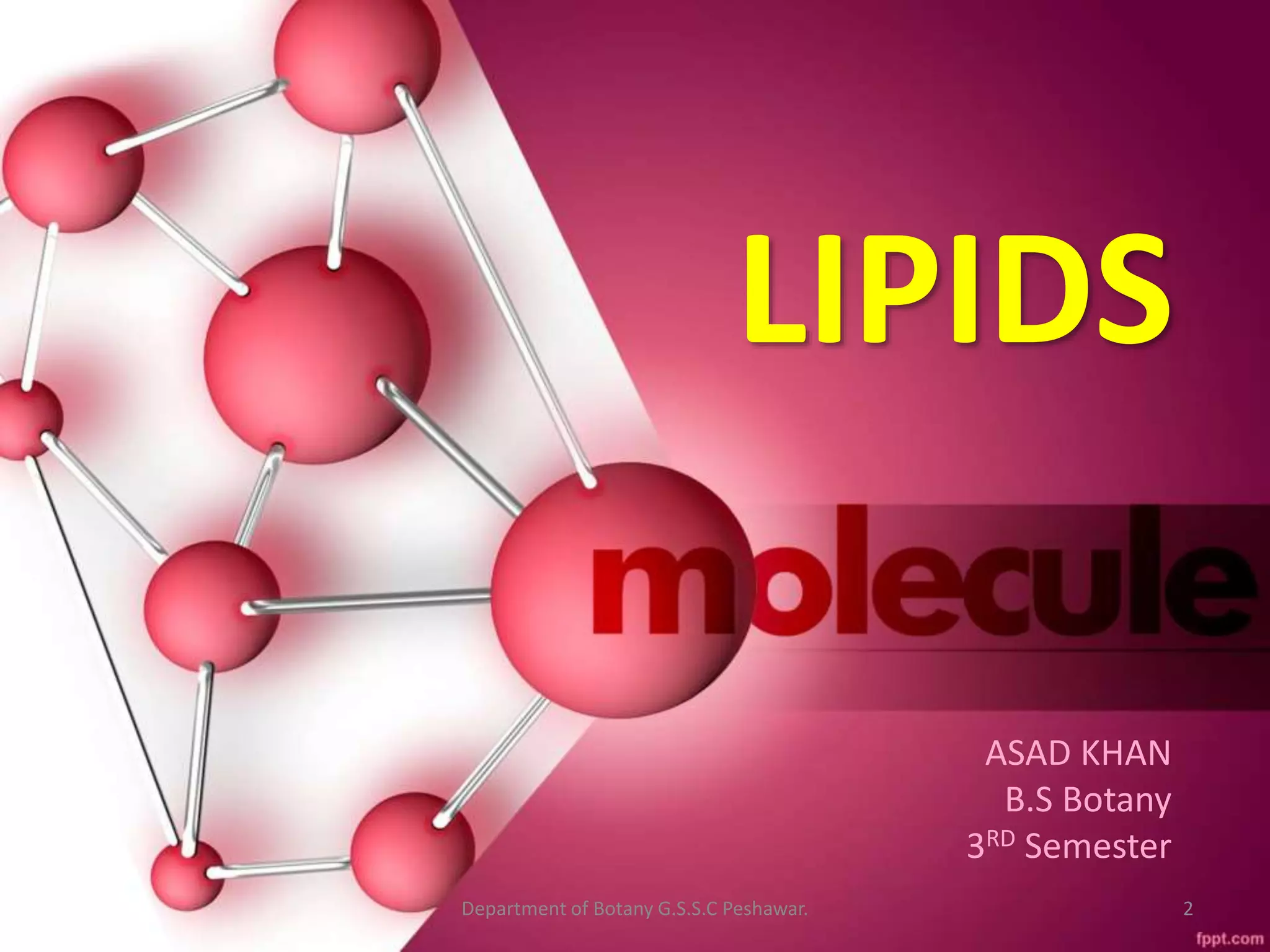 Lipids Notes | PPTX
