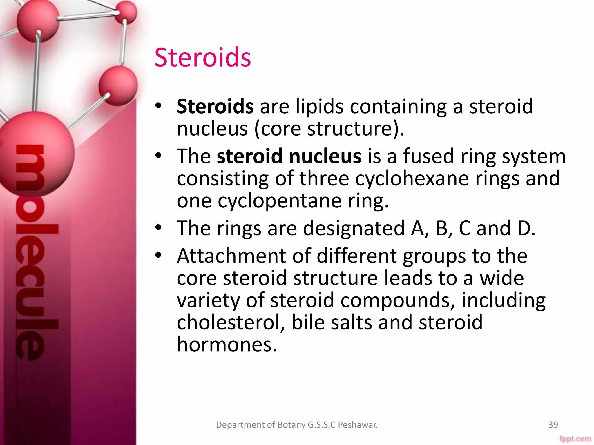 Lipids Notes | PPTX