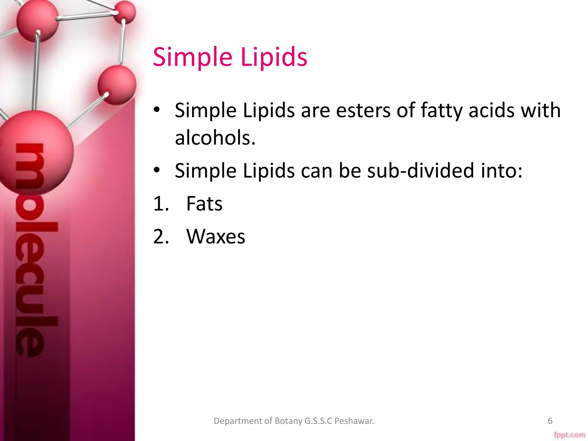 Lipids Notes | PPTX