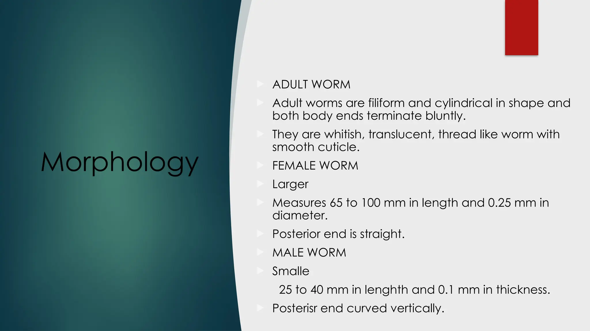 Wuchereria bancrofti and elephantiasis.pptx