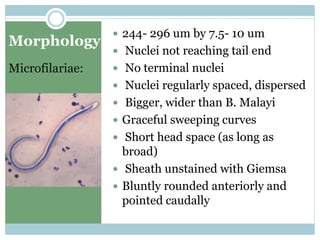 wuchereriabancroftibycarmel-160125115235.pdf | Infectious Diseases ...