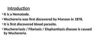 Wuchereria by Mansi Gupta M.Sc. I year.pptx