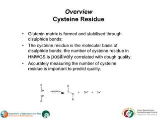 Measuring active cysteine residue number in glutenin subunits by MALDI ...