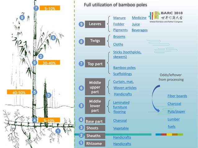 Wu Junqi_Overview on the International Market of Bamboo and Rattan Commodities | PPT