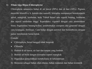 pelajaran bilogi CIRI-CIRI PROTISTA.pptx
