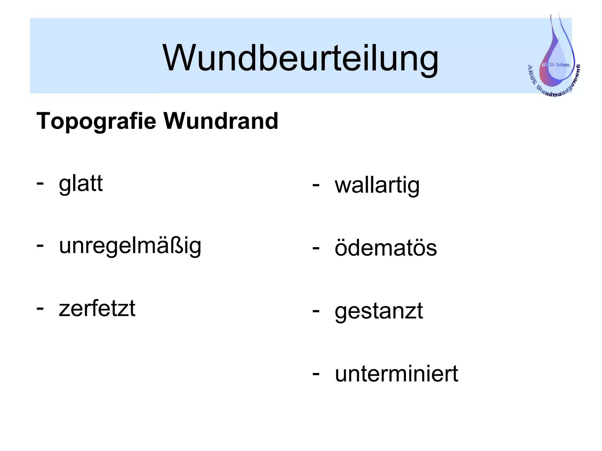Wundbeurteilung | PPT | Medical Health