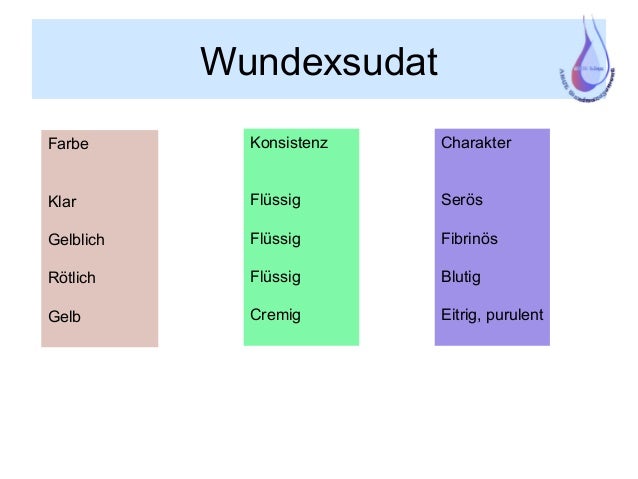 Wundbeurteilung