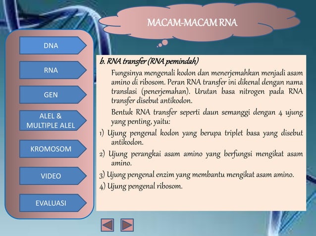 Ppt interaktif | PPT