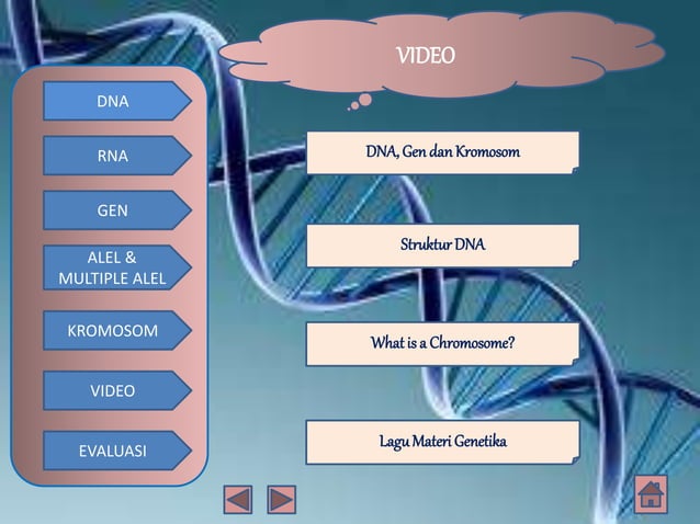 Ppt interaktif | PPT