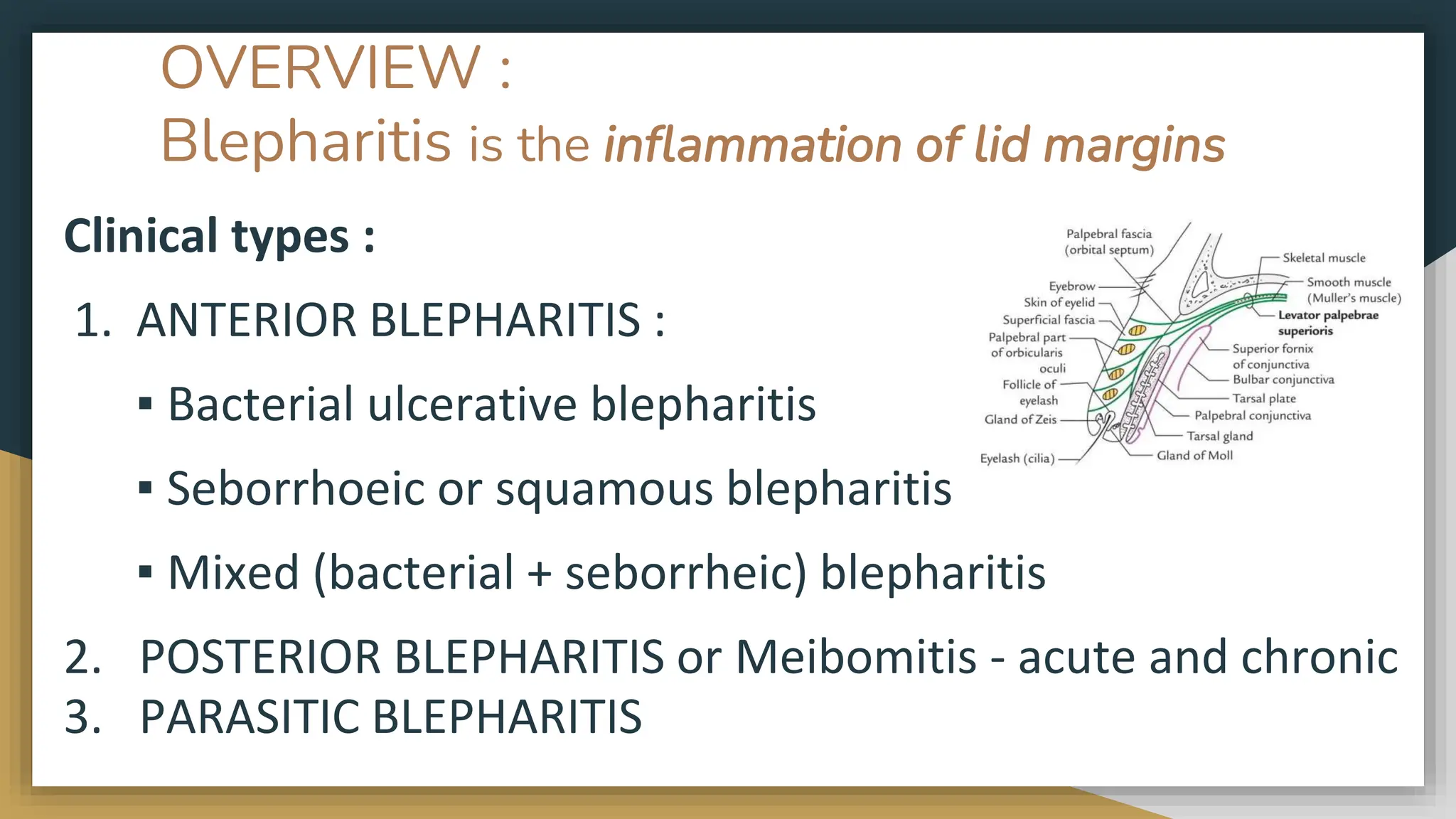 BLEPHARITIS - introduction, types, Etiology, pathogenesis, clinical ...