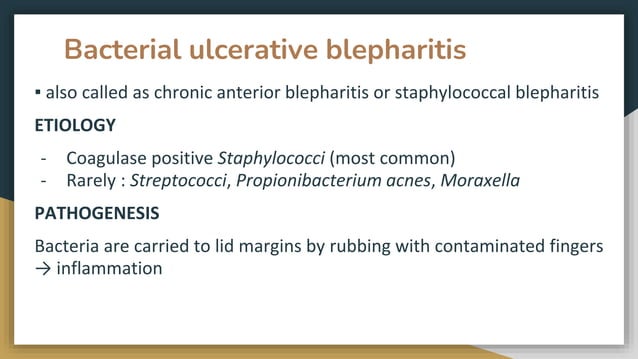 BLEPHARITIS - introduction, types, Etiology, pathogenesis, clinical ...