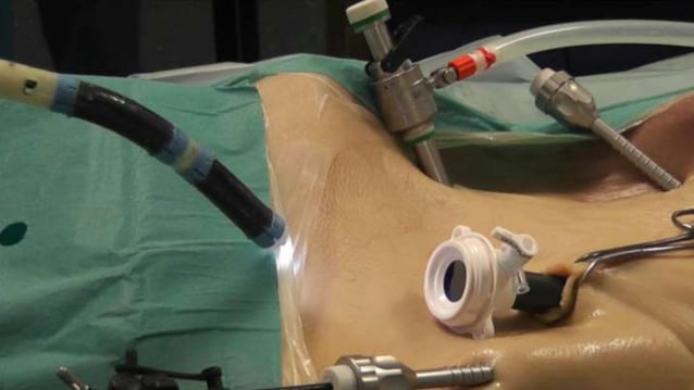 UCL || Dr Helge Wurdemann || Soft Robotics for Surgery | PPT