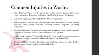 Wushu, anatomy and movement (biomechanic).pptx