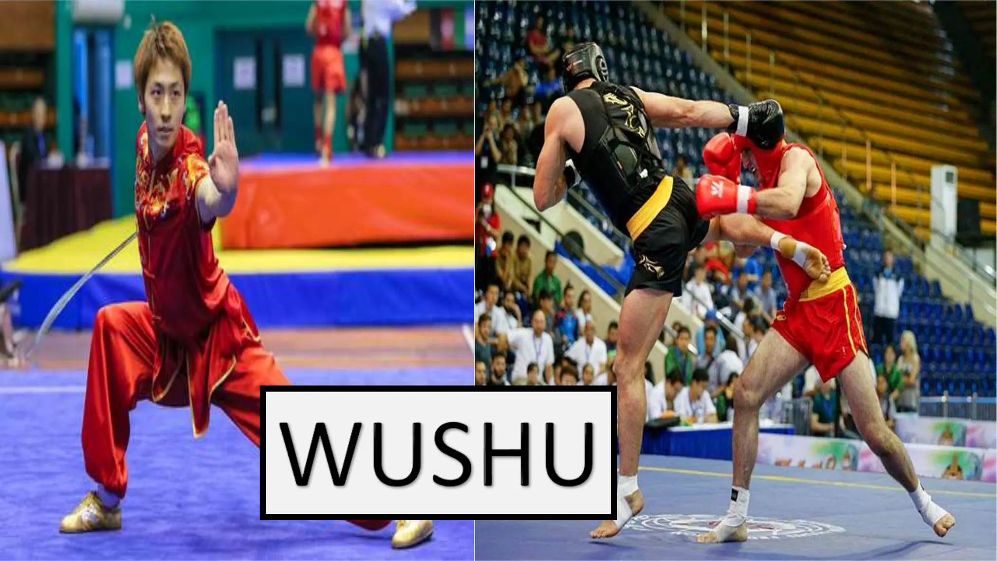 The History and Origin of the Martial Art: Wushu | PPTX