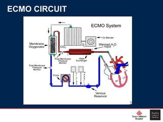 Pressure Ulcers in the ECMO Patient | PDF
