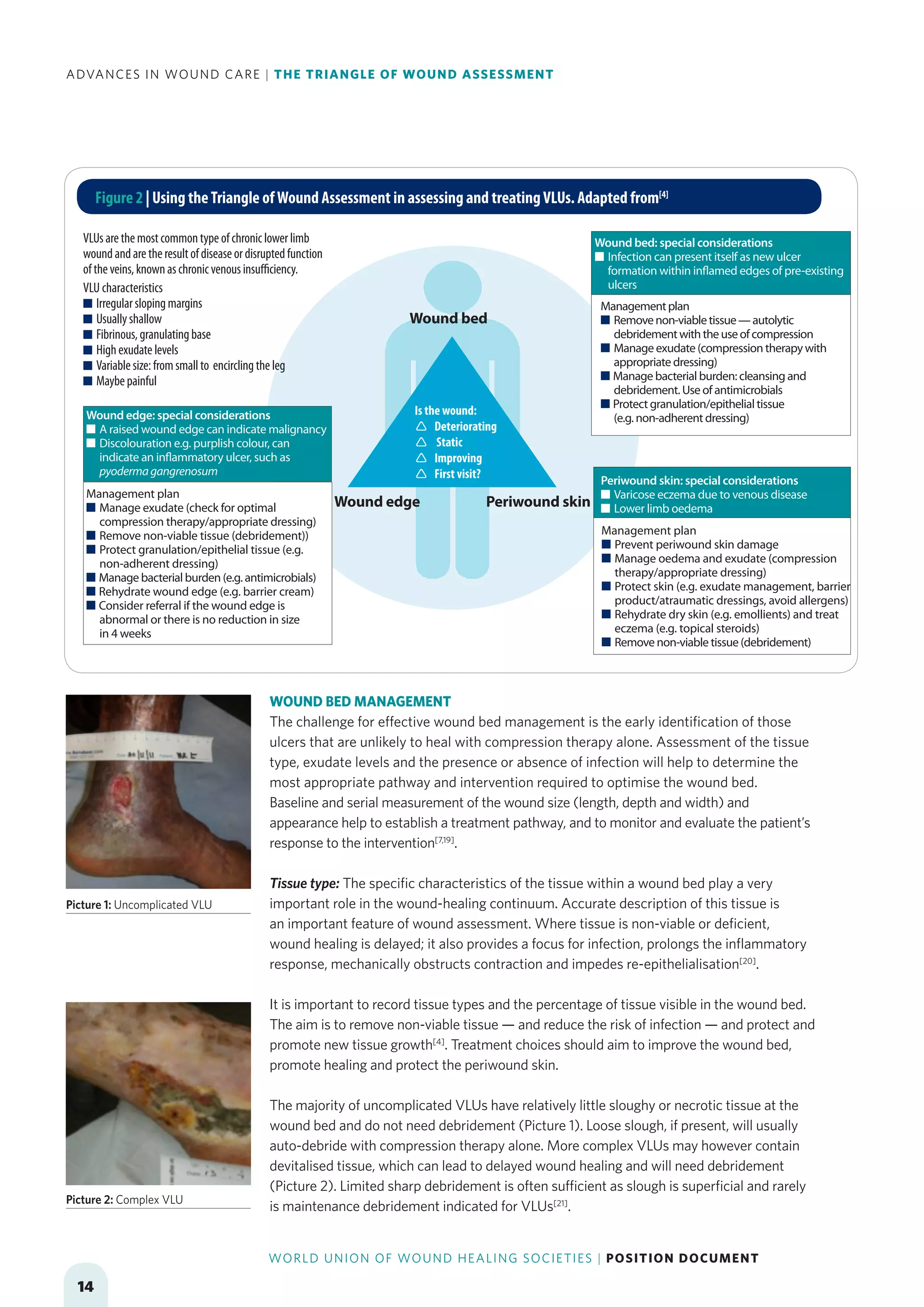ADVANCES IN WOUND CARE: THE TRIANGLE OF WOUND ASSESSMENT | PDF