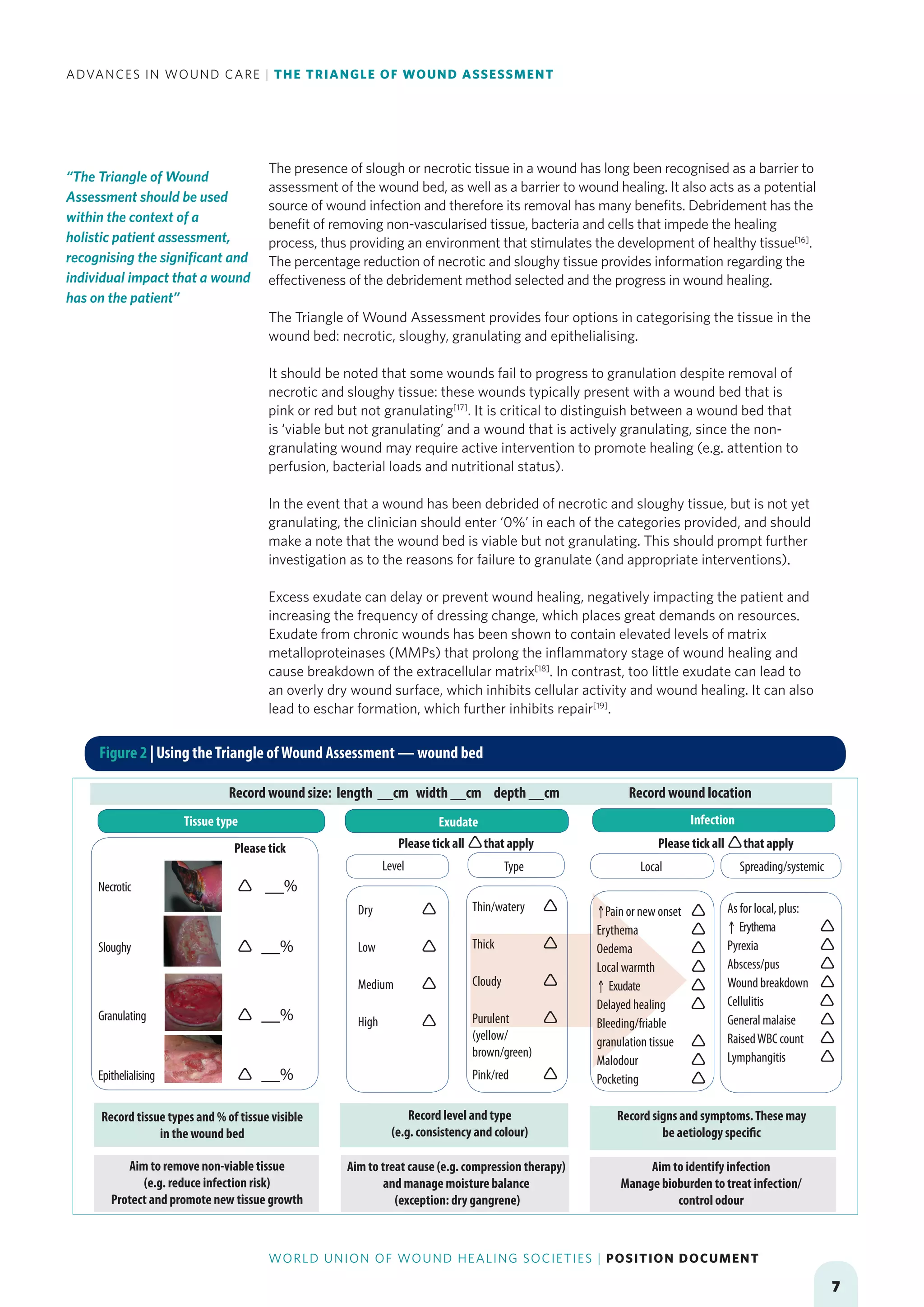 ADVANCES IN WOUND CARE: THE TRIANGLE OF WOUND ASSESSMENT | PDF