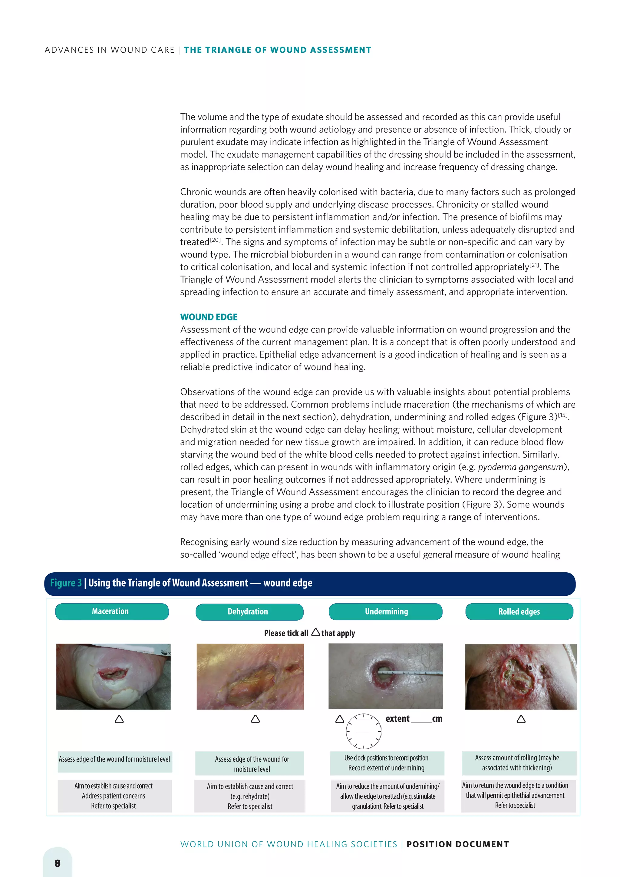 ADVANCES IN WOUND CARE: THE TRIANGLE OF WOUND ASSESSMENT | PDF