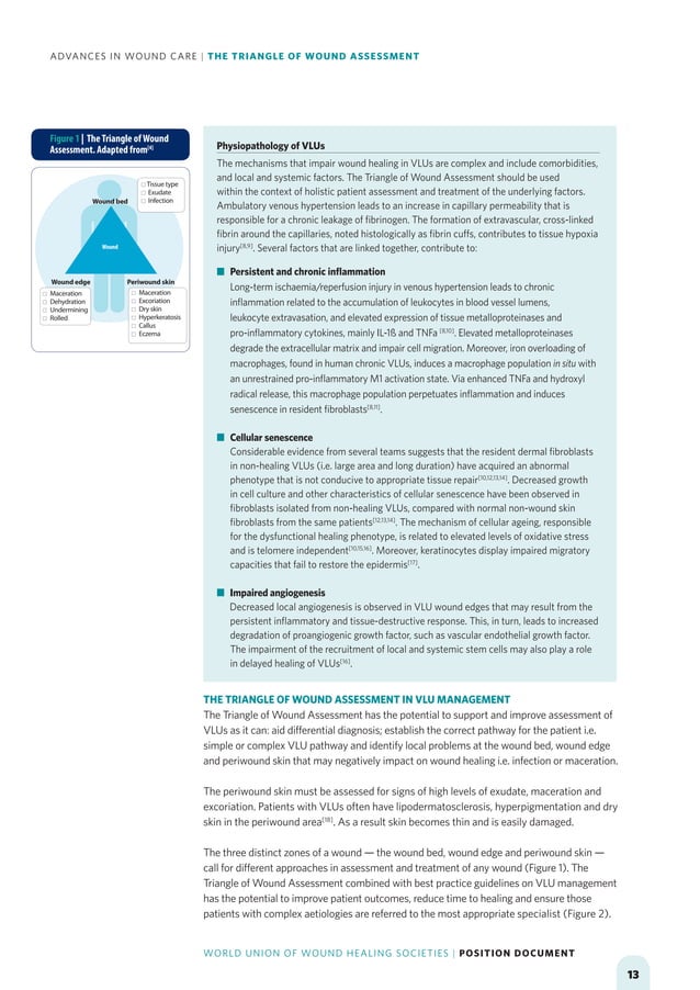 ADVANCES IN WOUND CARE: THE TRIANGLE OF WOUND ASSESSMENT | PDF