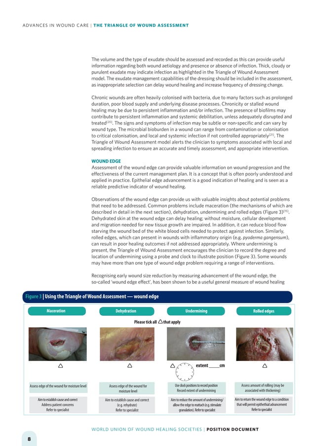 ADVANCES IN WOUND CARE: THE TRIANGLE OF WOUND ASSESSMENT | PDF