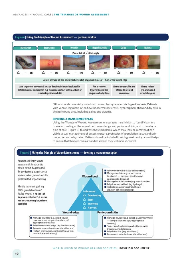 ADVANCES IN WOUND CARE: THE TRIANGLE OF WOUND ASSESSMENT