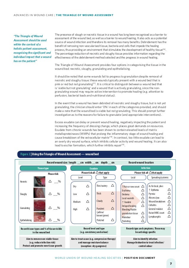 ADVANCES IN WOUND CARE: THE TRIANGLE OF WOUND ASSESSMENT