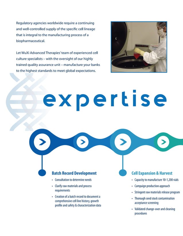 Cell Banking | PDF | Business | Business and Finance