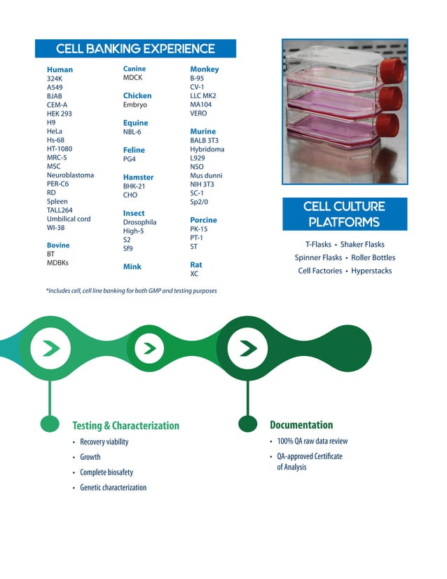 Cell Banking | PDF | Business | Business and Finance