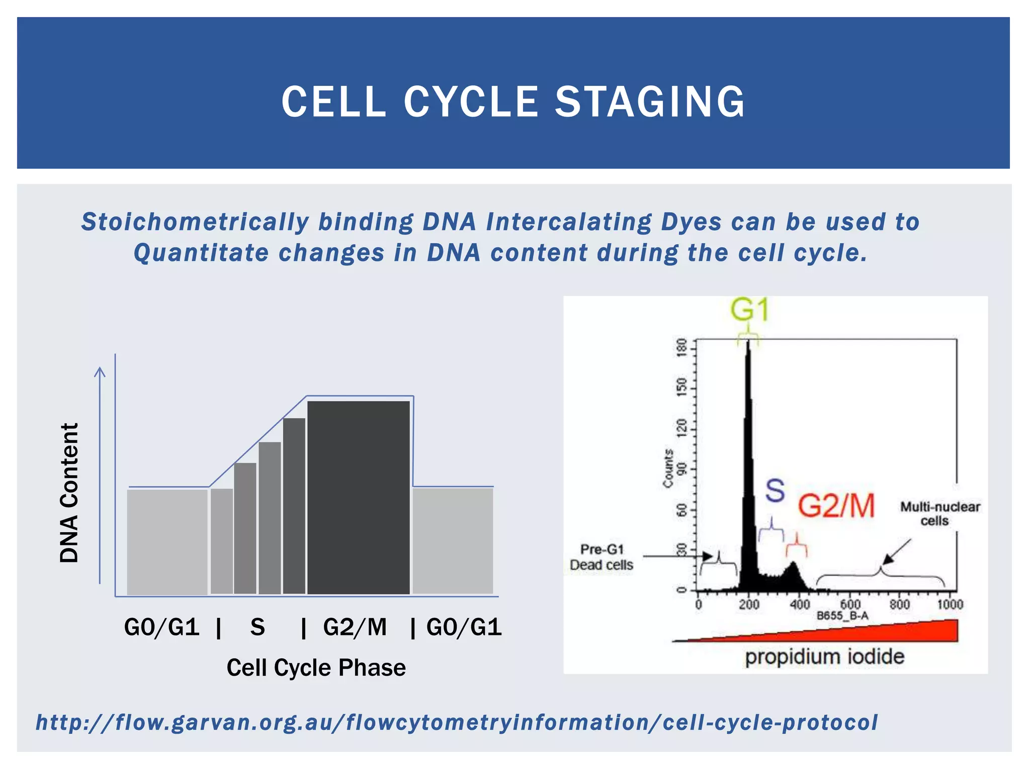 Flow Cytometry Training : Introduction day 1 session 1 | PPTX ...