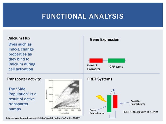 Flow Cytometry Training : Introduction day 1 session 1 | PPTX ...