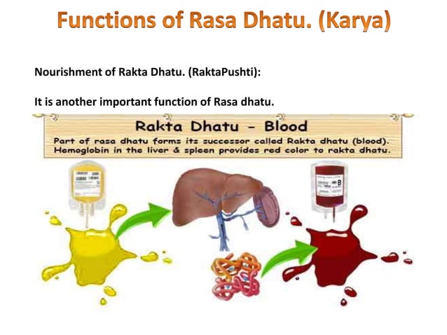 Concept of Rasa Dhatu in Ayurved | PPTX | Heart and Cardiovascular ...