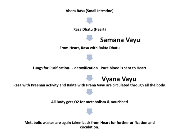 Concept of Rasa Dhatu in Ayurved | PPTX | Heart and Cardiovascular ...