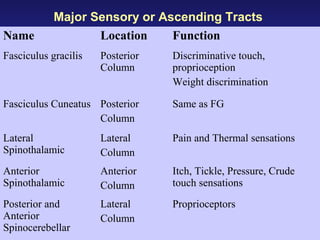 Anatomy of Spinal tracts and reflexes 2 | PPT