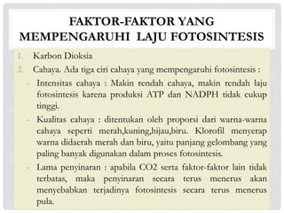 7._Fotosintesis_(Kelompok_5)-7._Fotosintesis_(Kelompok_5).pptx